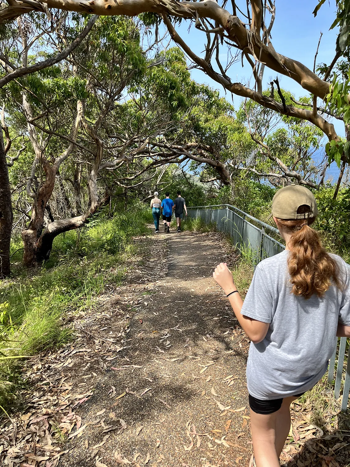 South Coast Safaris » Bushwalking Tours